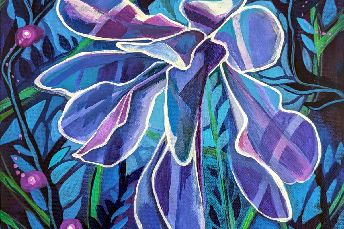 Portfolio - Kina Ink